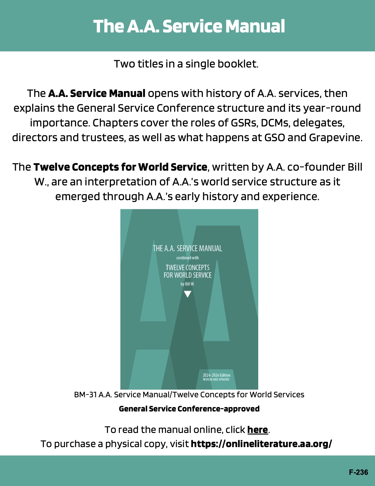 The AA Service Manual Digital Version Flyer